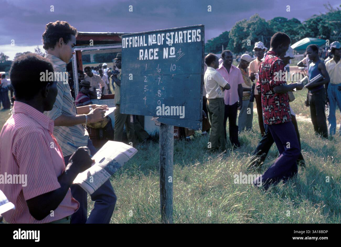 Horseracing 1970s crowd hi-res stock photography and images - Alamy