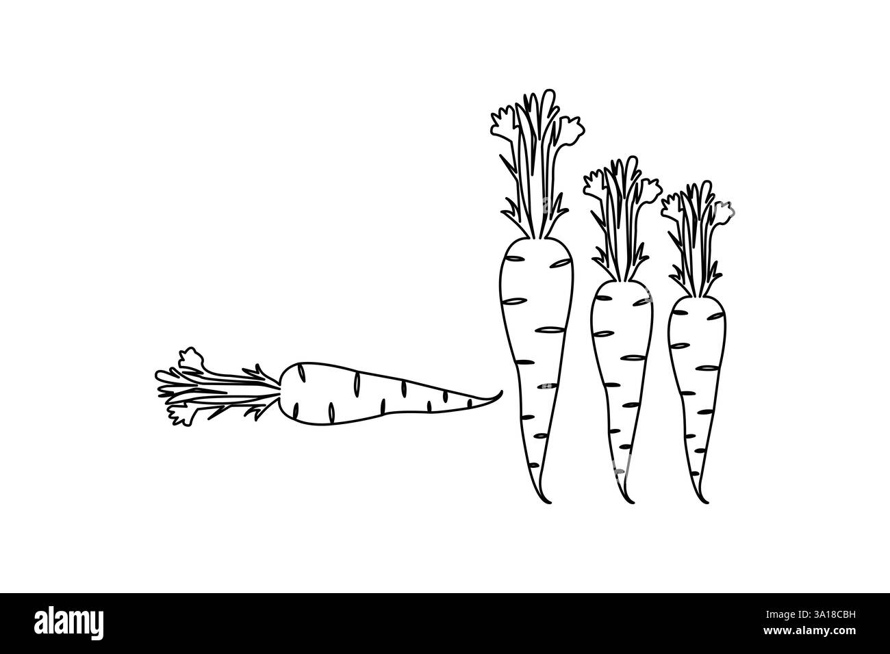 Simple carrot vegetable continuous one line drawing of carrot plant ...