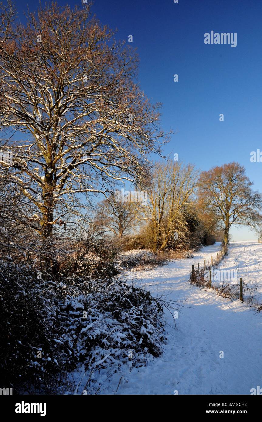A snow-covered public footpath on the outskirts of Chippenham ...