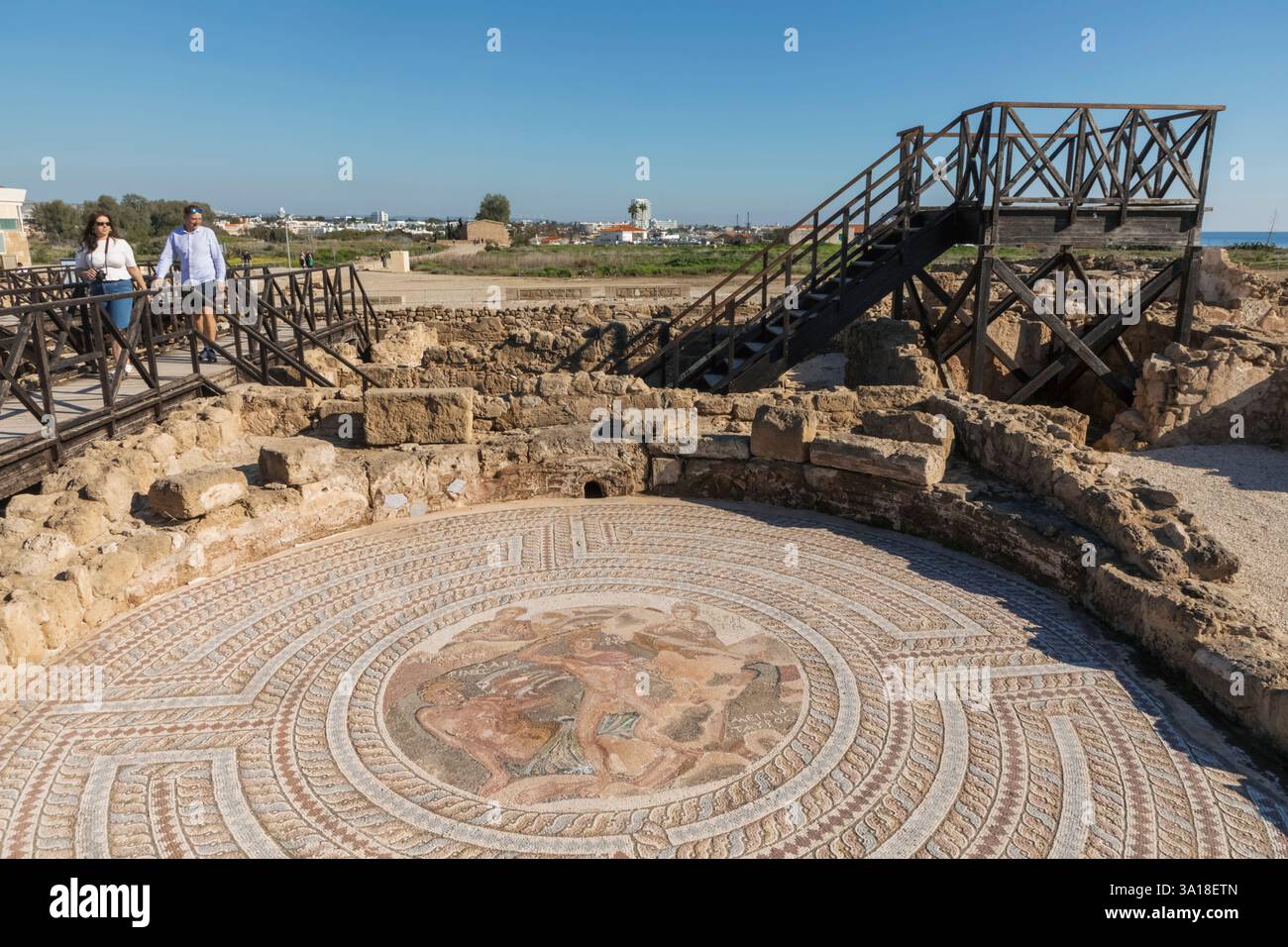Cyprus, Paphos, Nea Pafos Archaeological Site, House of Theseus, Floor ...