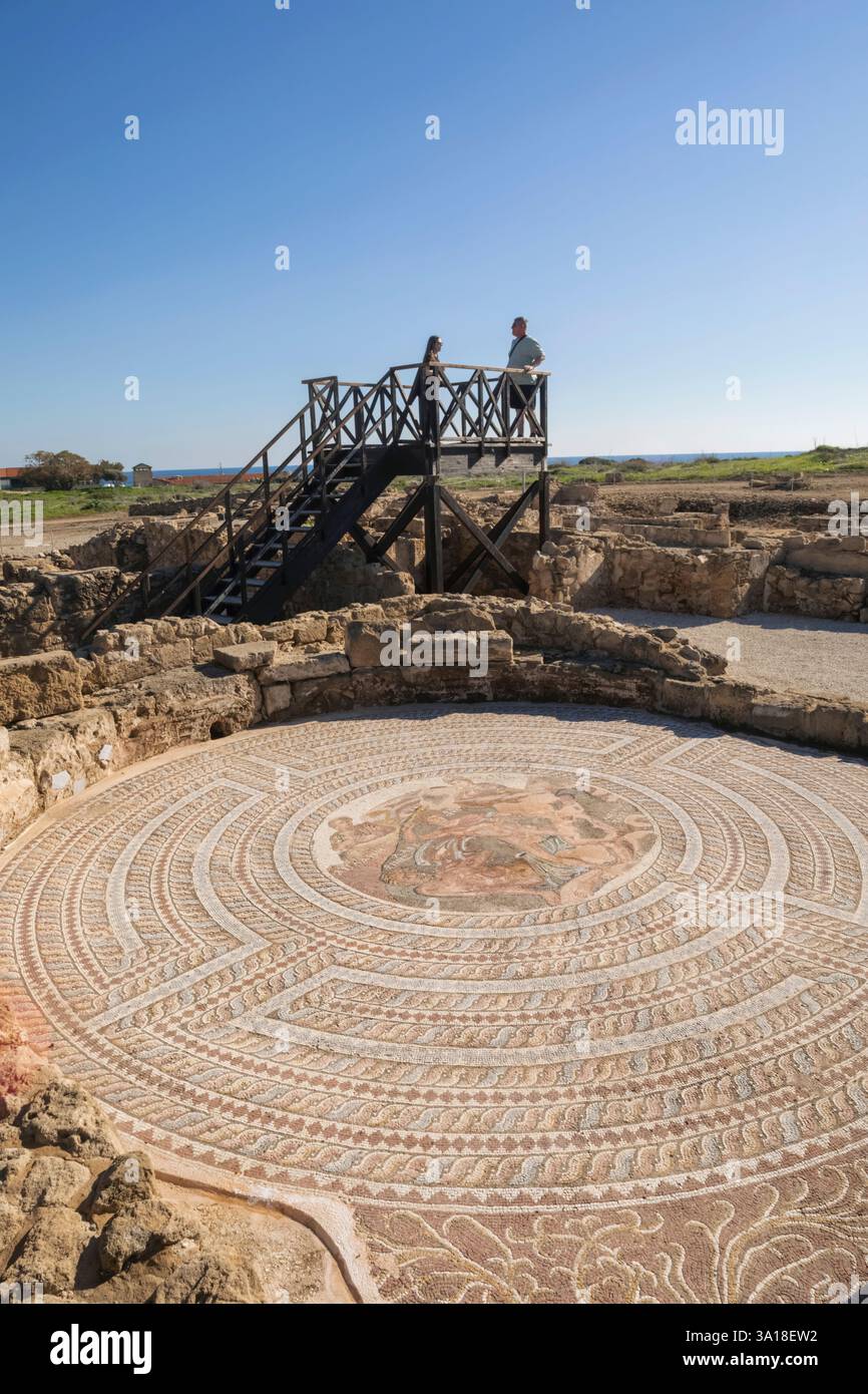 Cyprus, Paphos, Nea Pafos Archaeological Site, House of Theseus, Floor ...