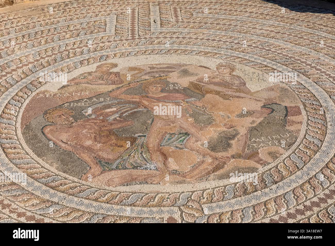 Cyprus, Paphos, Nea Pafos Archaeological Site, House of Theseus, Floor ...
