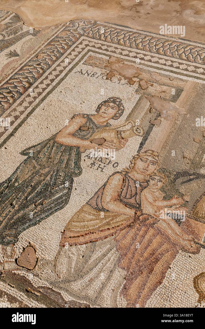 Cyprus, Paphos, Nea Pafos Archaeological Site, House of Theseus, Roman ...