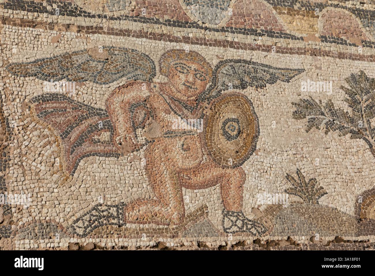 Cyprus, Paphos, Nea Pafos Archaeological Site, House of Theseus, Roman ...