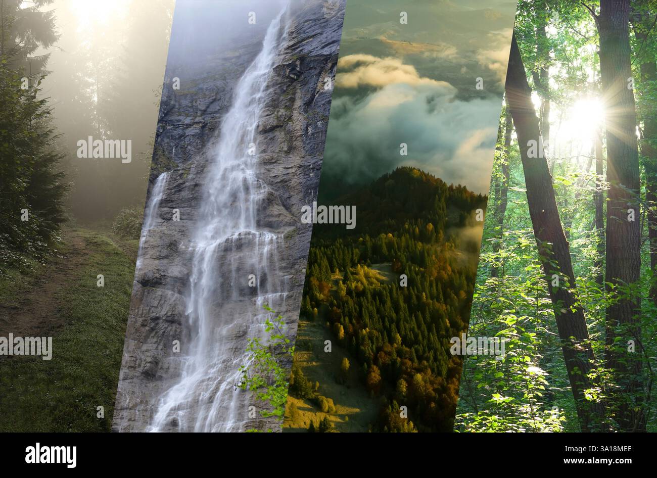 Picturesque nature. Collage with beautiful photos of different ...