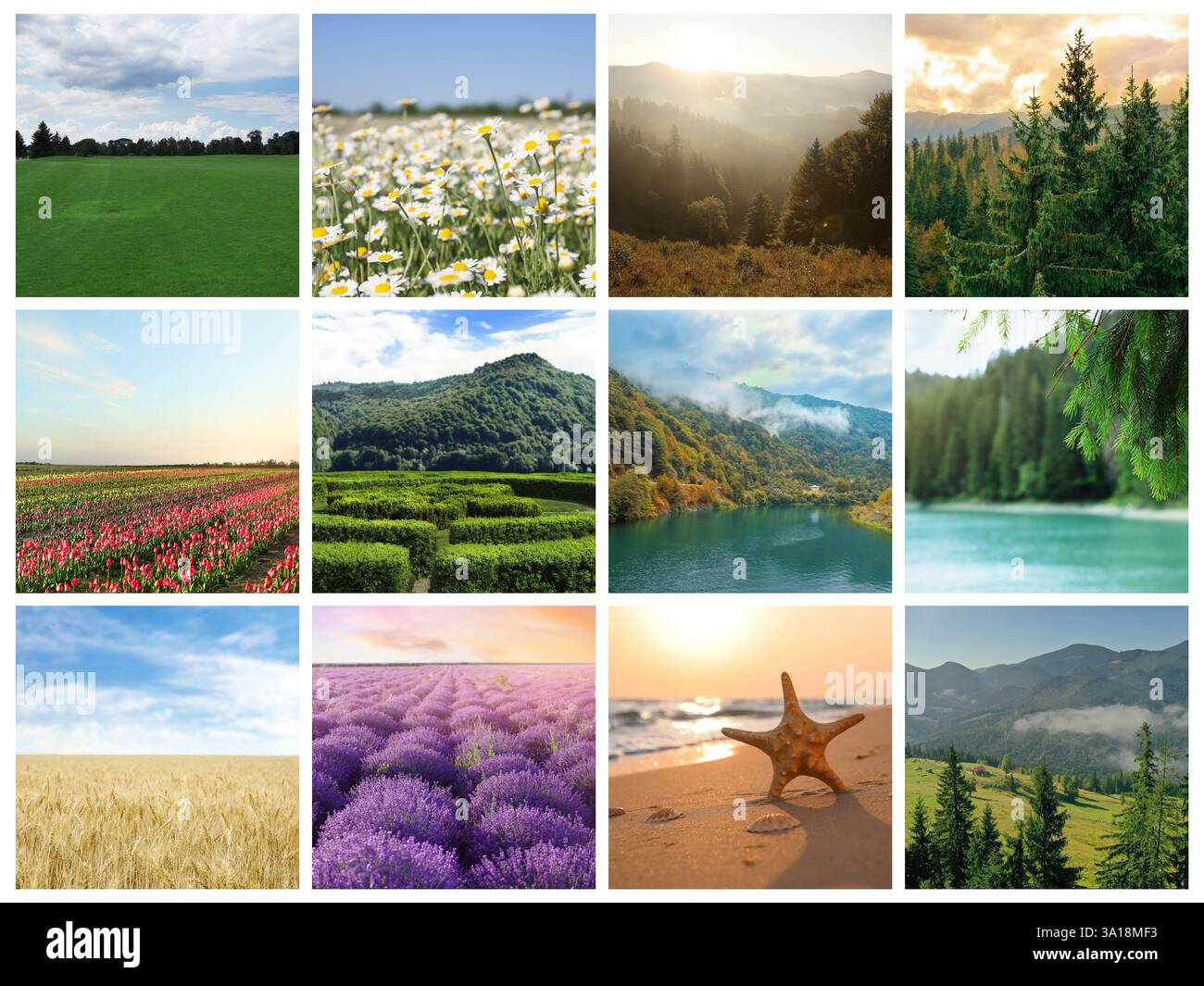 Picturesque nature. Collage with beautiful photos of different ...