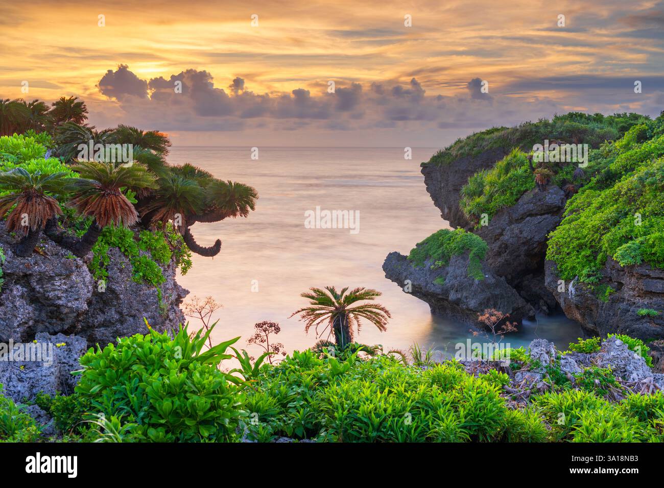 Natural coastline of Iriomote, Okinawa, Japan Stock Photo - Alamy