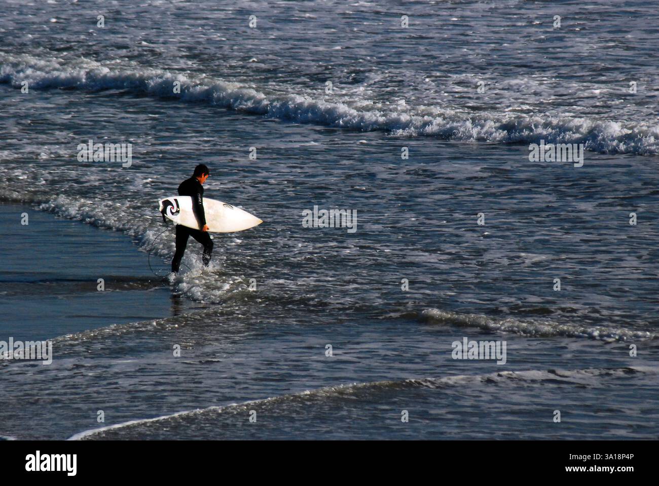 On a summer day at the beach, a surfer enters the ocean to catch a wave ...