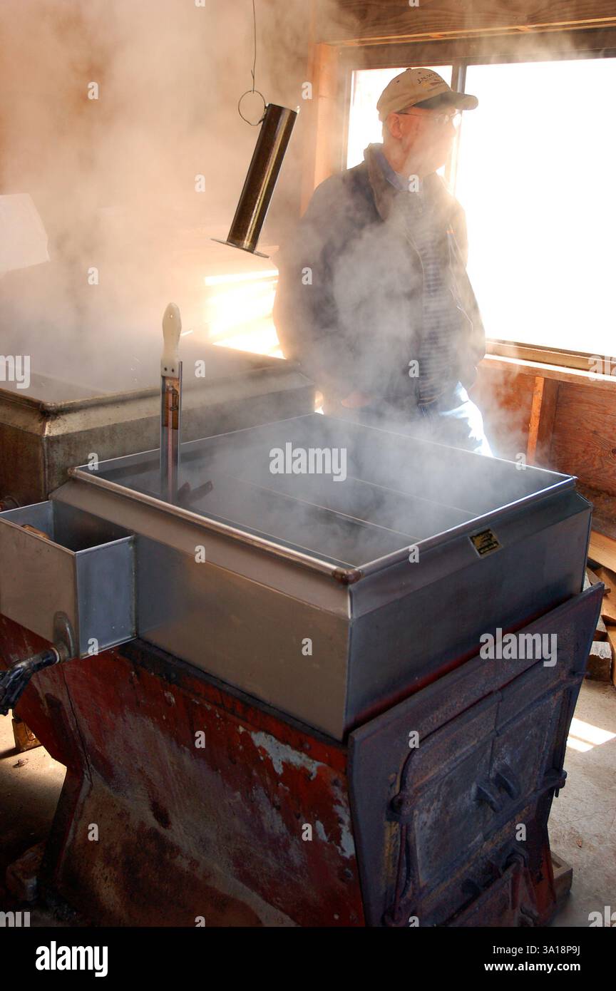 An adult man demonstrates the evaporation process in making maple syrup ...