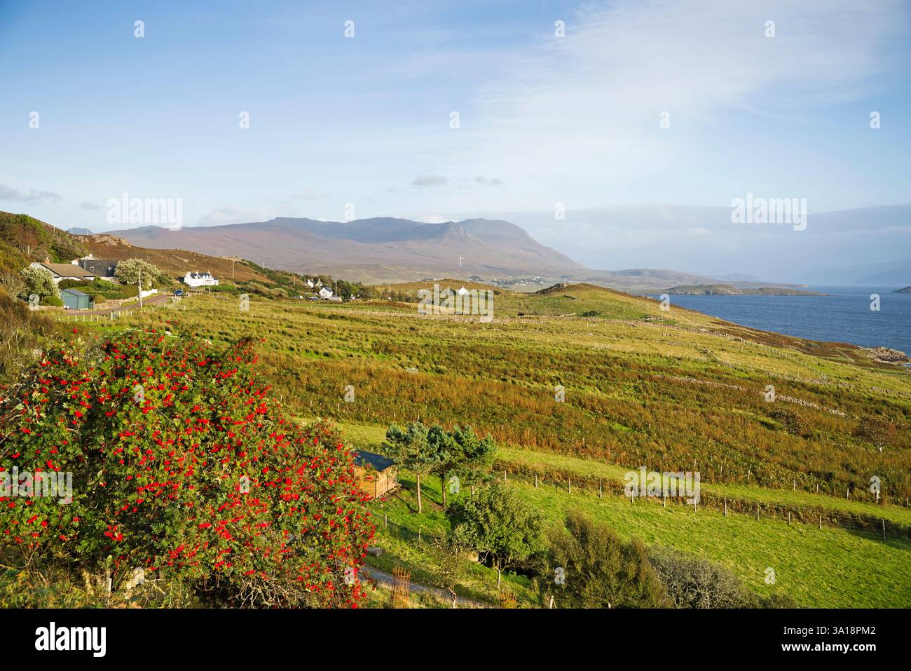 Rough crofting pasture hi-res stock photography and images - Alamy