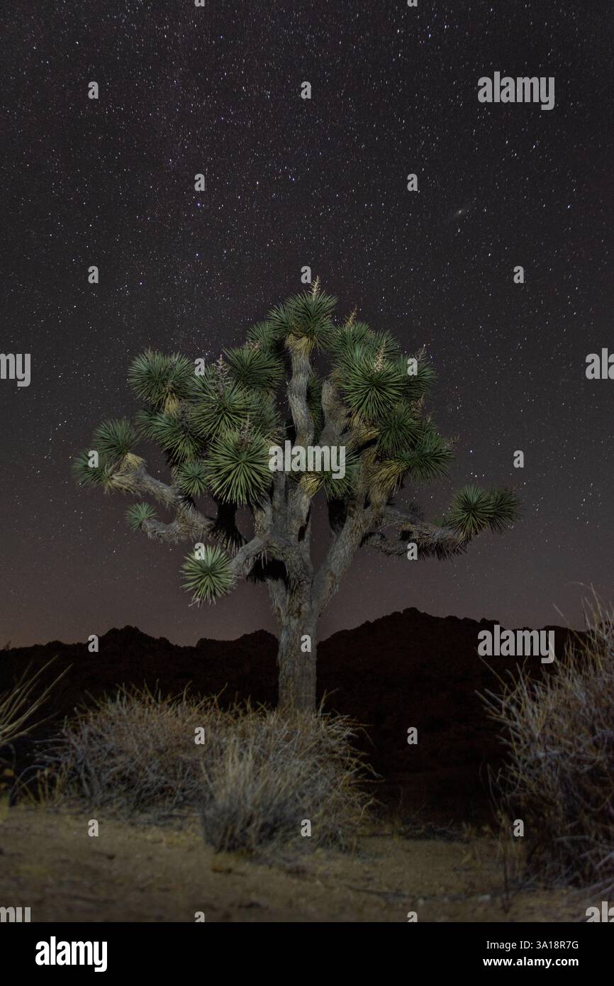 Astrophotography hotspot hi-res stock photography and images - Alamy