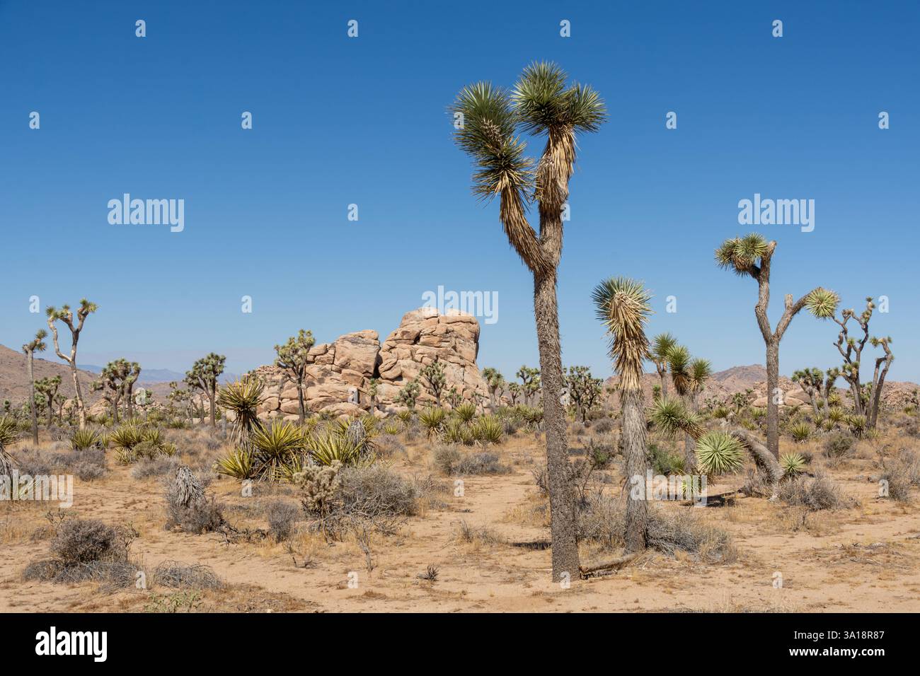 Daylight and terrain hi-res stock photography and images - Alamy