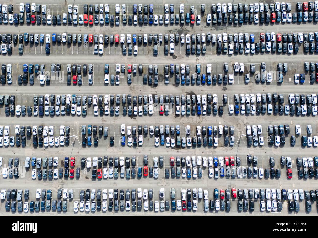 Wolfsburg, Germany. 08th Mar, 2025. New Volkswagen cars on the grounds ...