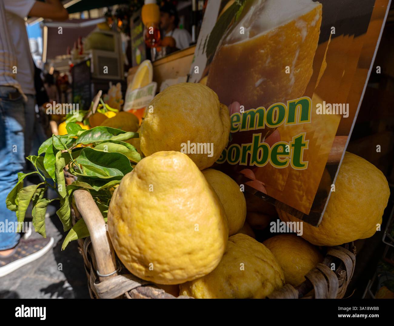 Sorrento, Italy - May 26: Massive lemons on display in Sorrento ...