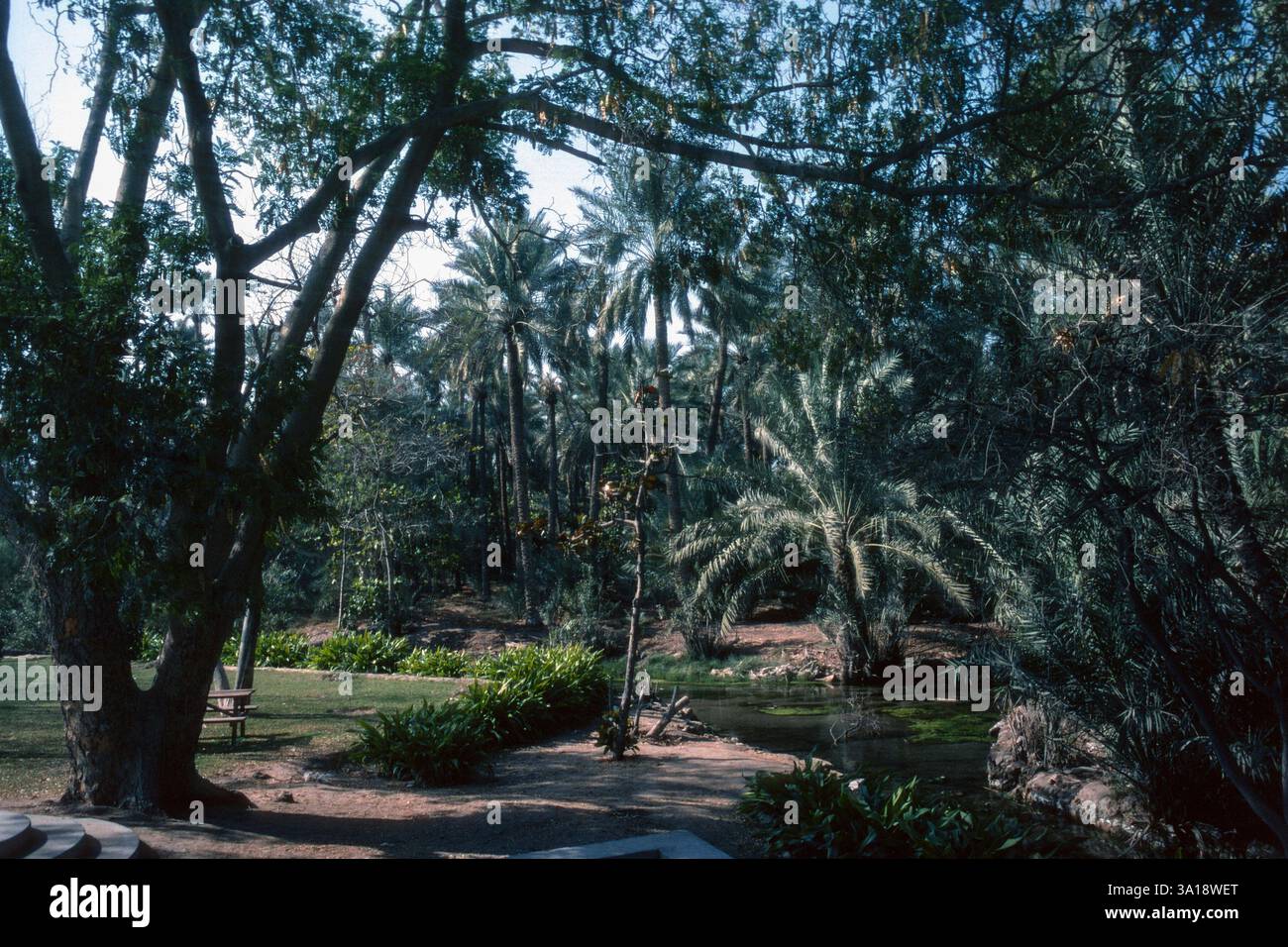 Bahrain 1979 – archival image of the Adhari Gardens next to the Adhari ...