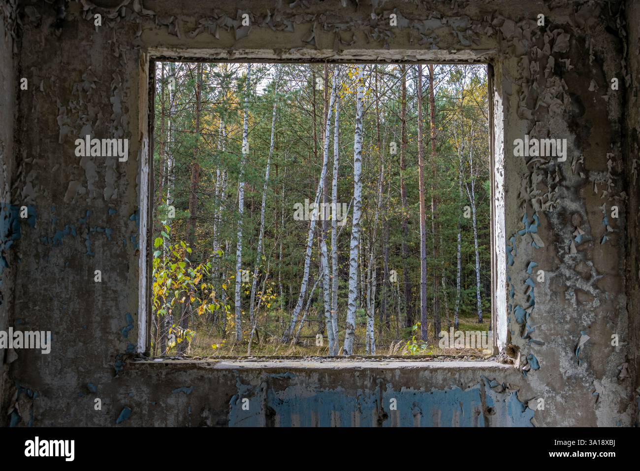 View damaged wall inside hi-res stock photography and images - Alamy