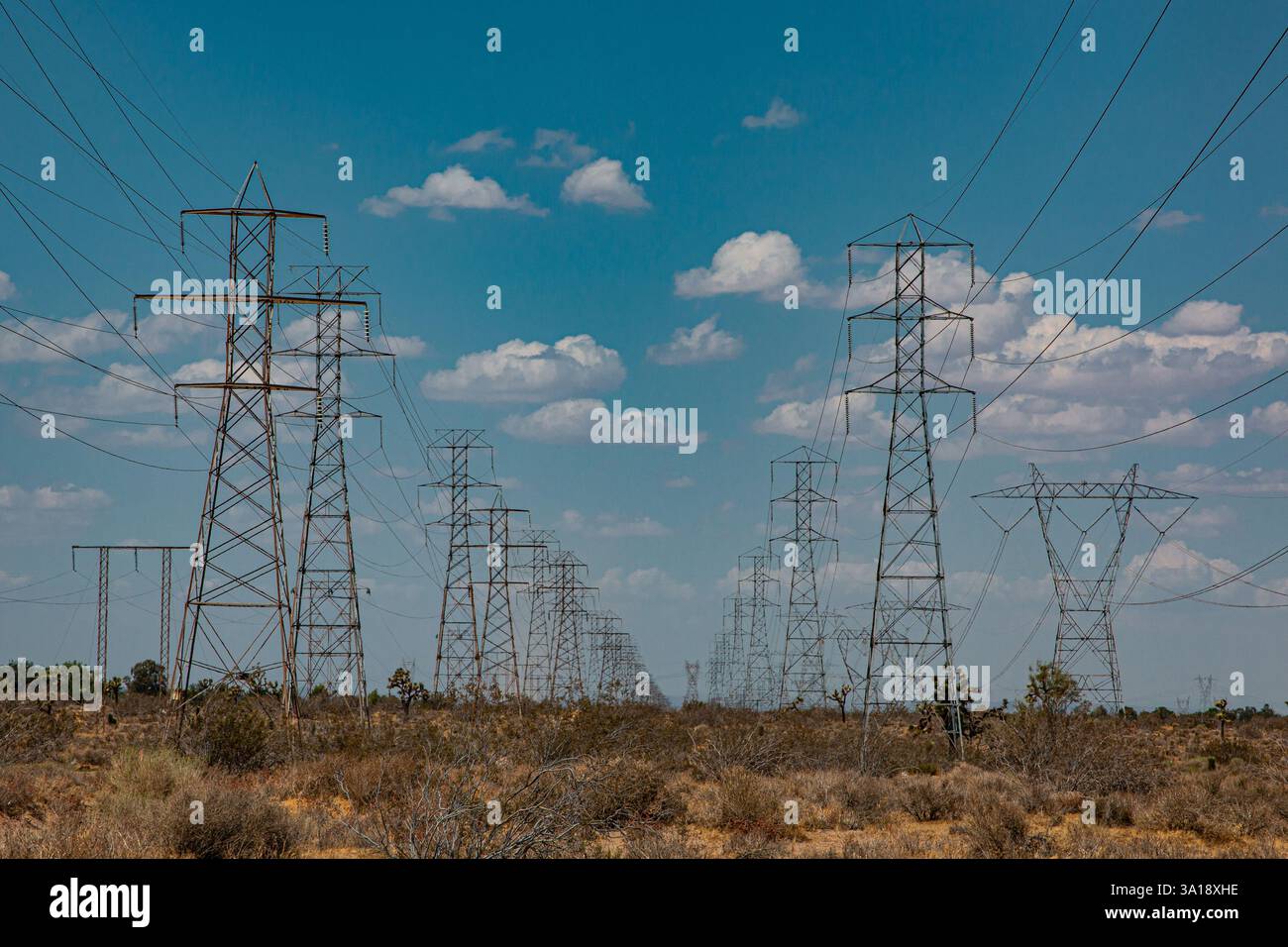 A corridor of power line stanchions bring electricity across the desert ...