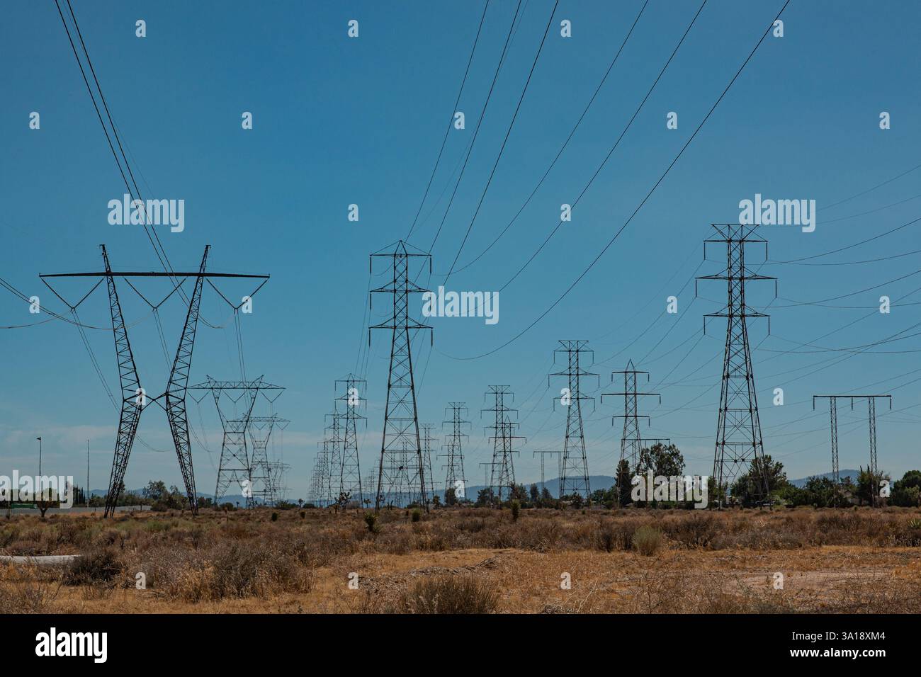 A corridor of power line stanchions bring electricity across the desert ...
