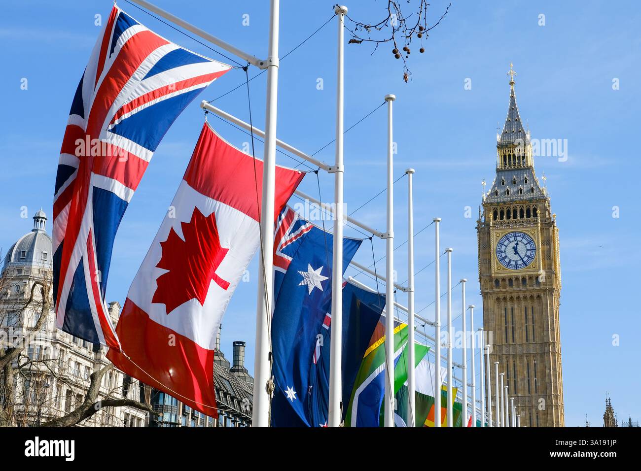 London, UK. 7th March, 2025. The flags of the 56 Commonwealth member ...