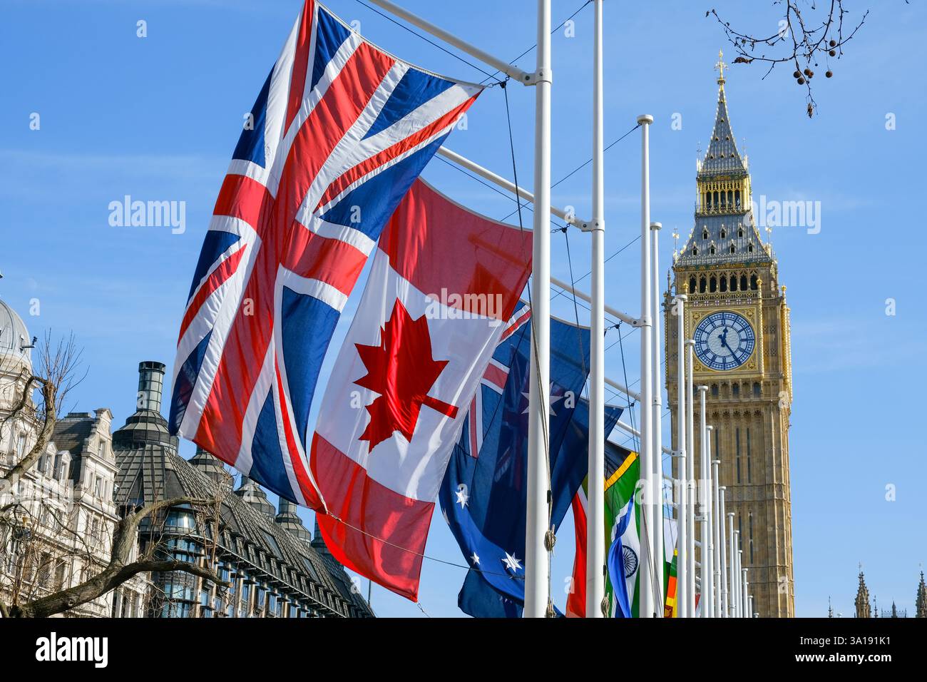 London, UK. 7th March, 2025. The flags of the 56 Commonwealth member ...