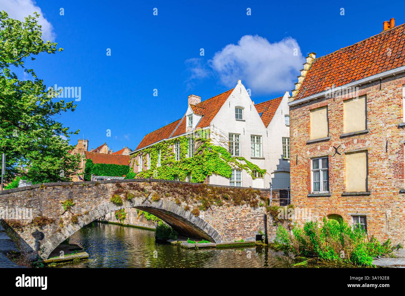 Peerdenbrug stone bridge across Groenerei Green Canal water of Reie ...
