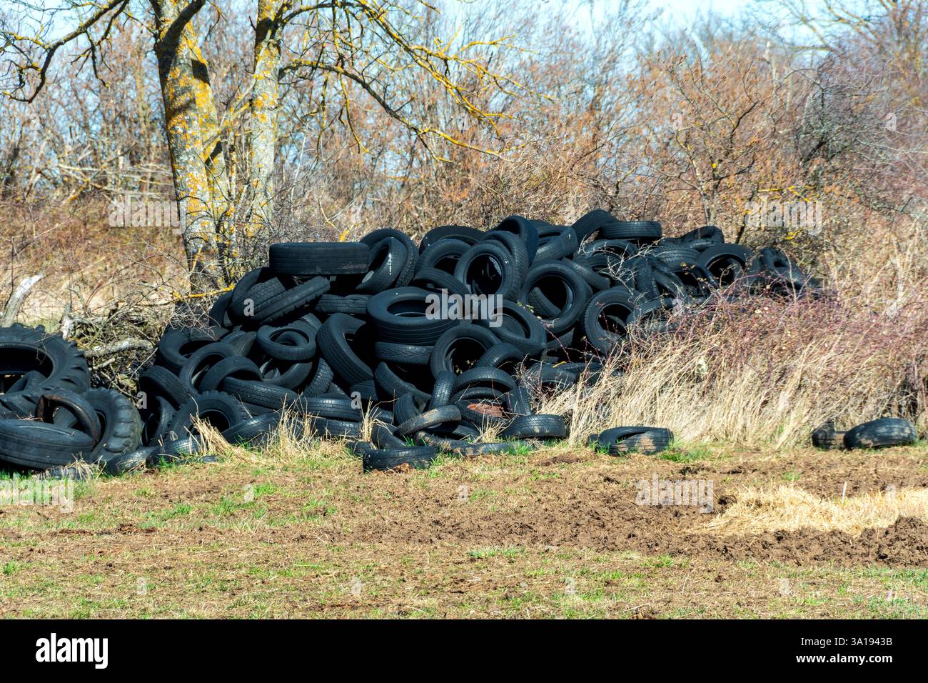 A large collection of old, worn-out tires is stacked in a field ...