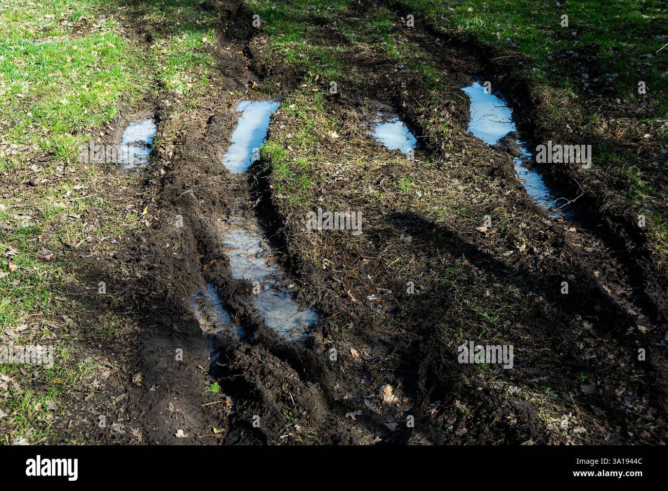 After a rain shower, muddy tracks weave through a green field, with ...