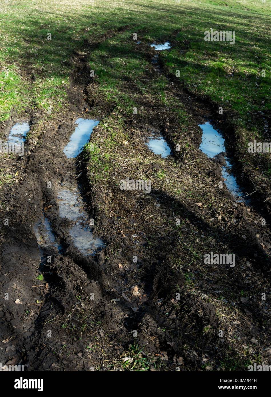 After a rain shower, muddy tracks weave through a green field, with ...