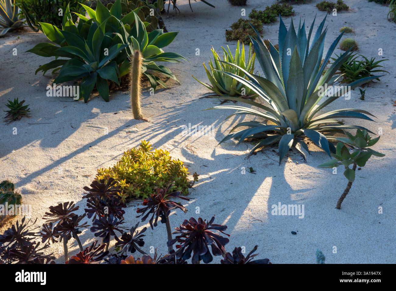 Landscape design of a park. Pathways are covered with red and white ...