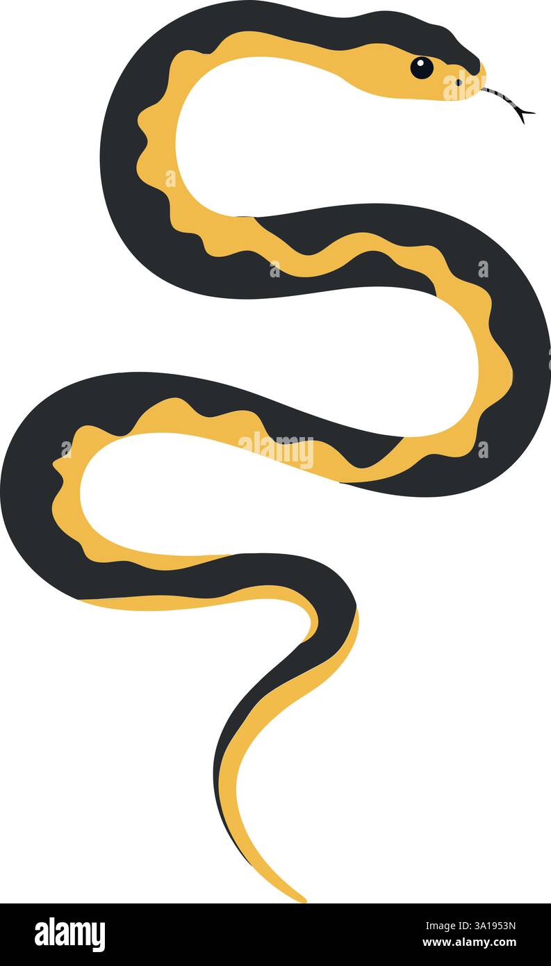 A black and yellow snake twists gracefully, showcasing its smooth ...