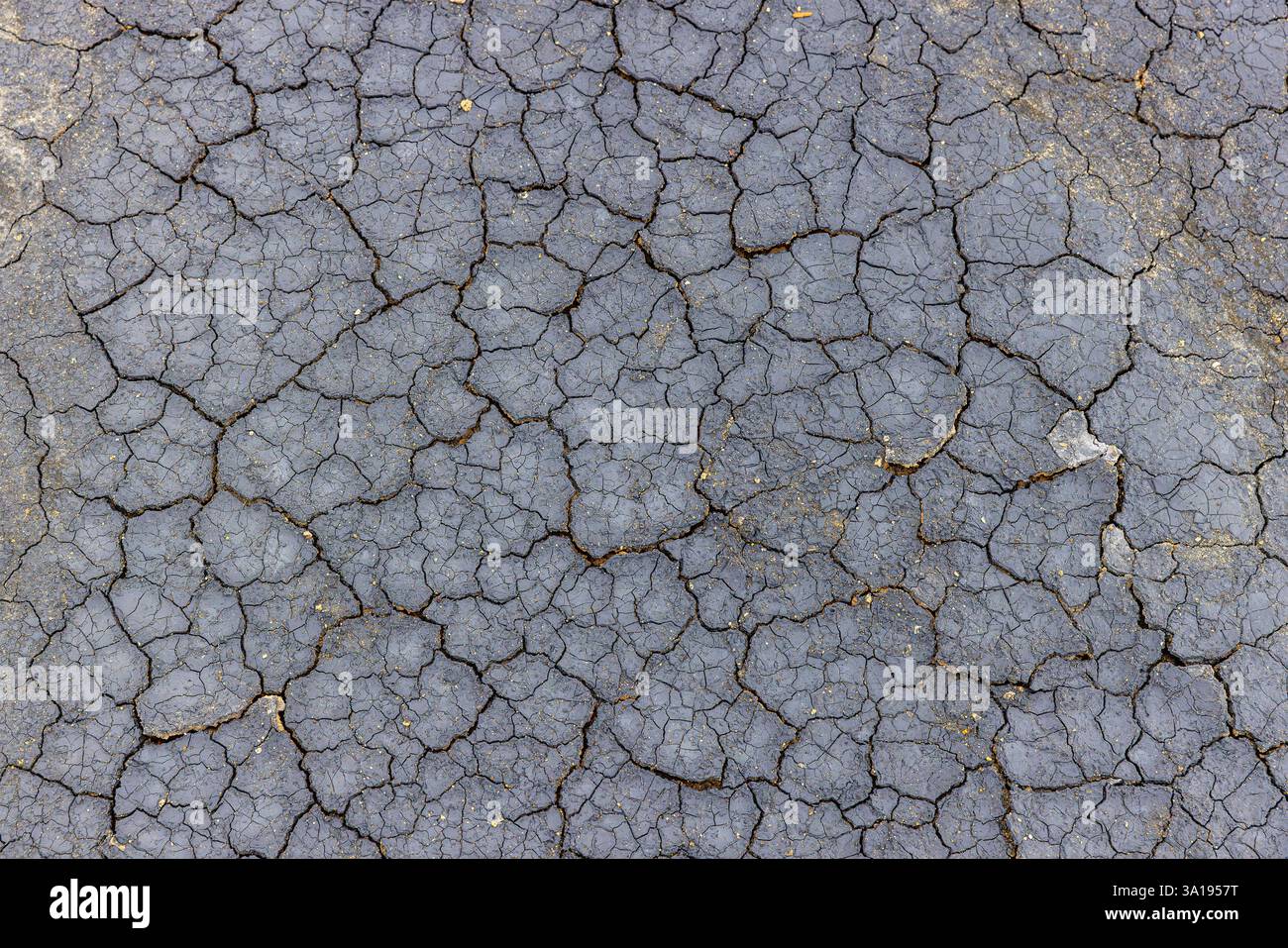 Dry cracked earth texture showing severe drought conditions Stock Photo ...