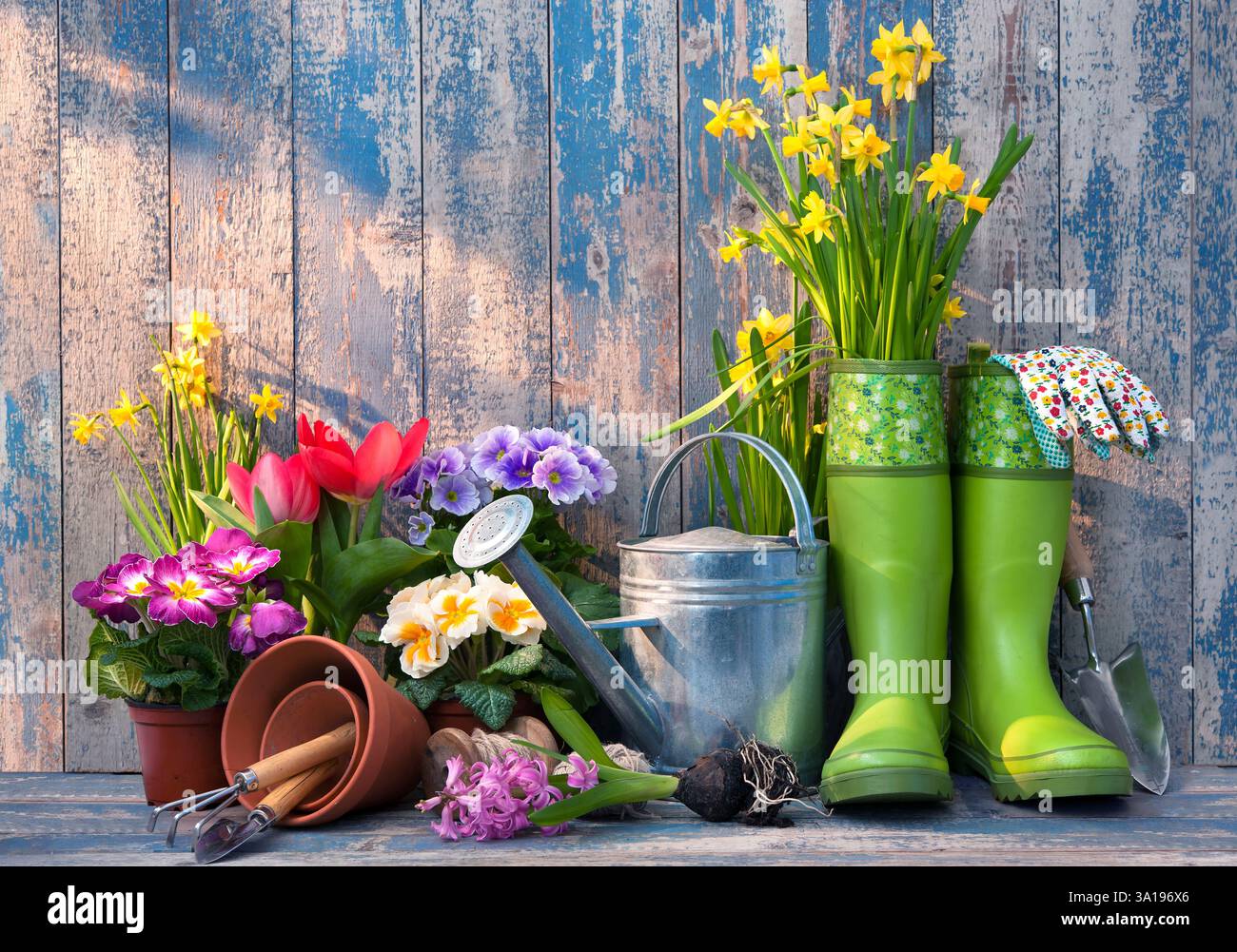 Gardening tools and flowers on the terrace in the garden Stock Photo ...