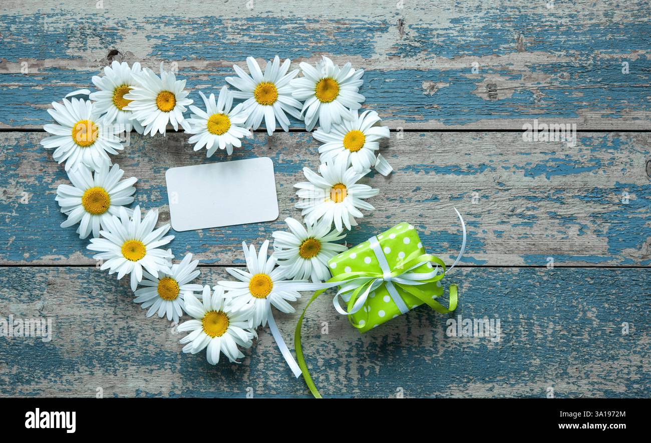 Daisy flowers in heart shape with gift box and tag on blue painted ...