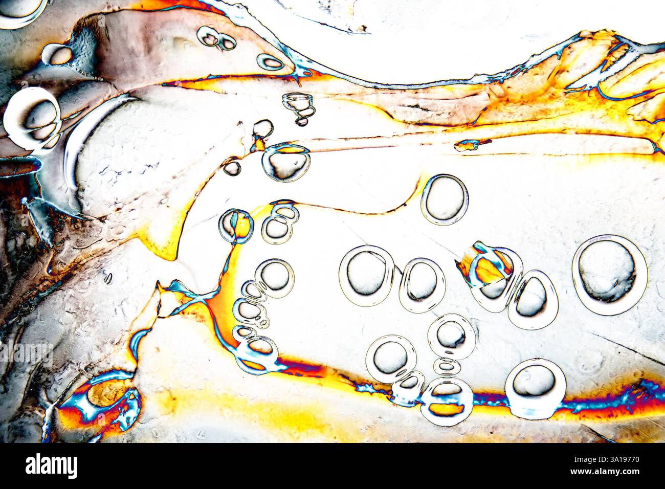 Light Graphics: Microphoto of translucent structures Stock Photo - Alamy