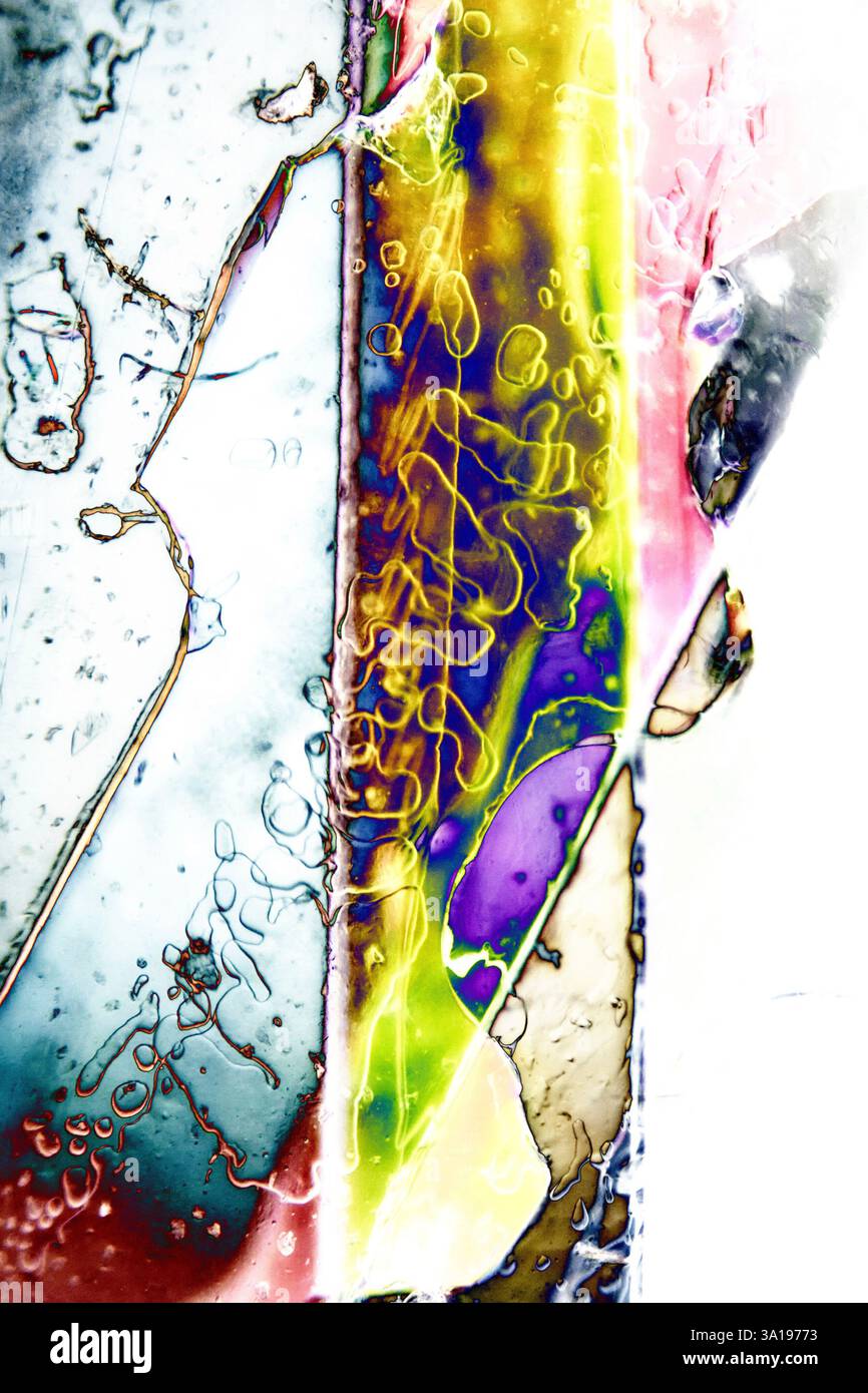 Light Graphics: Microphoto of translucent structures in polarized light ...