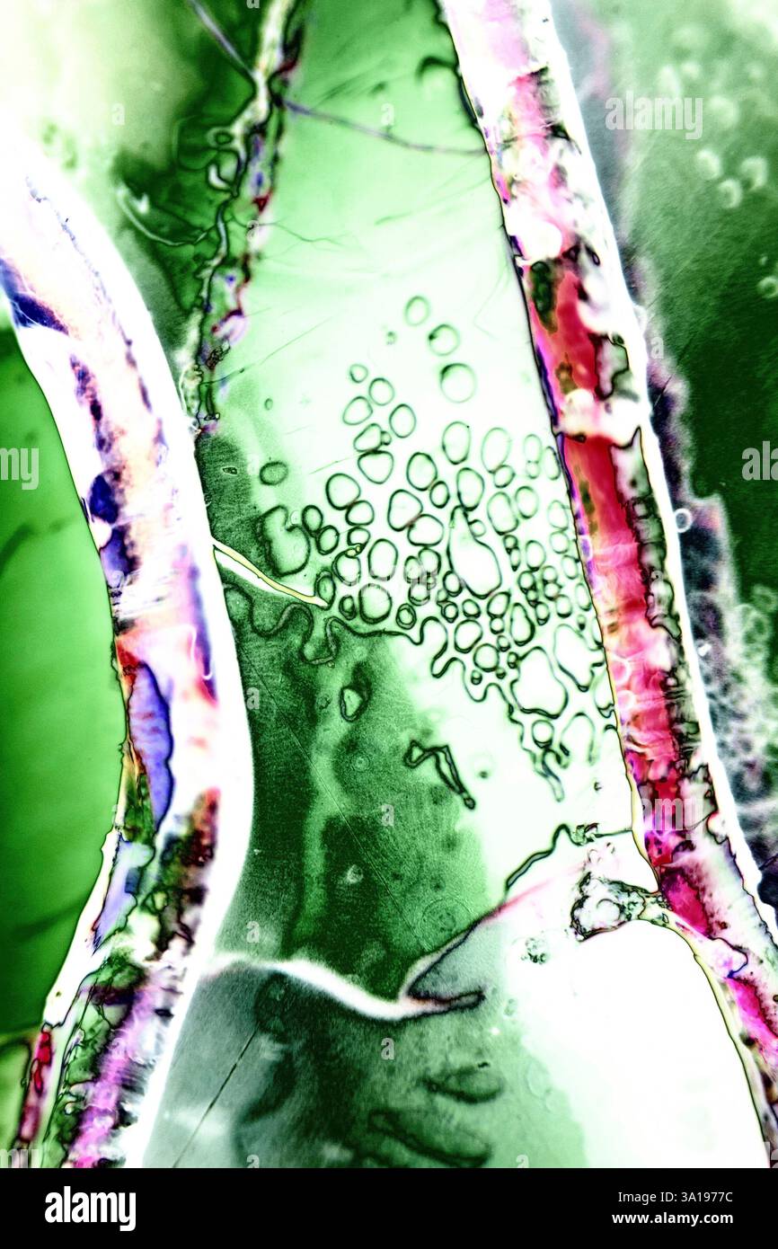 Light Graphics: Microphoto of translucent structures in polarized light ...