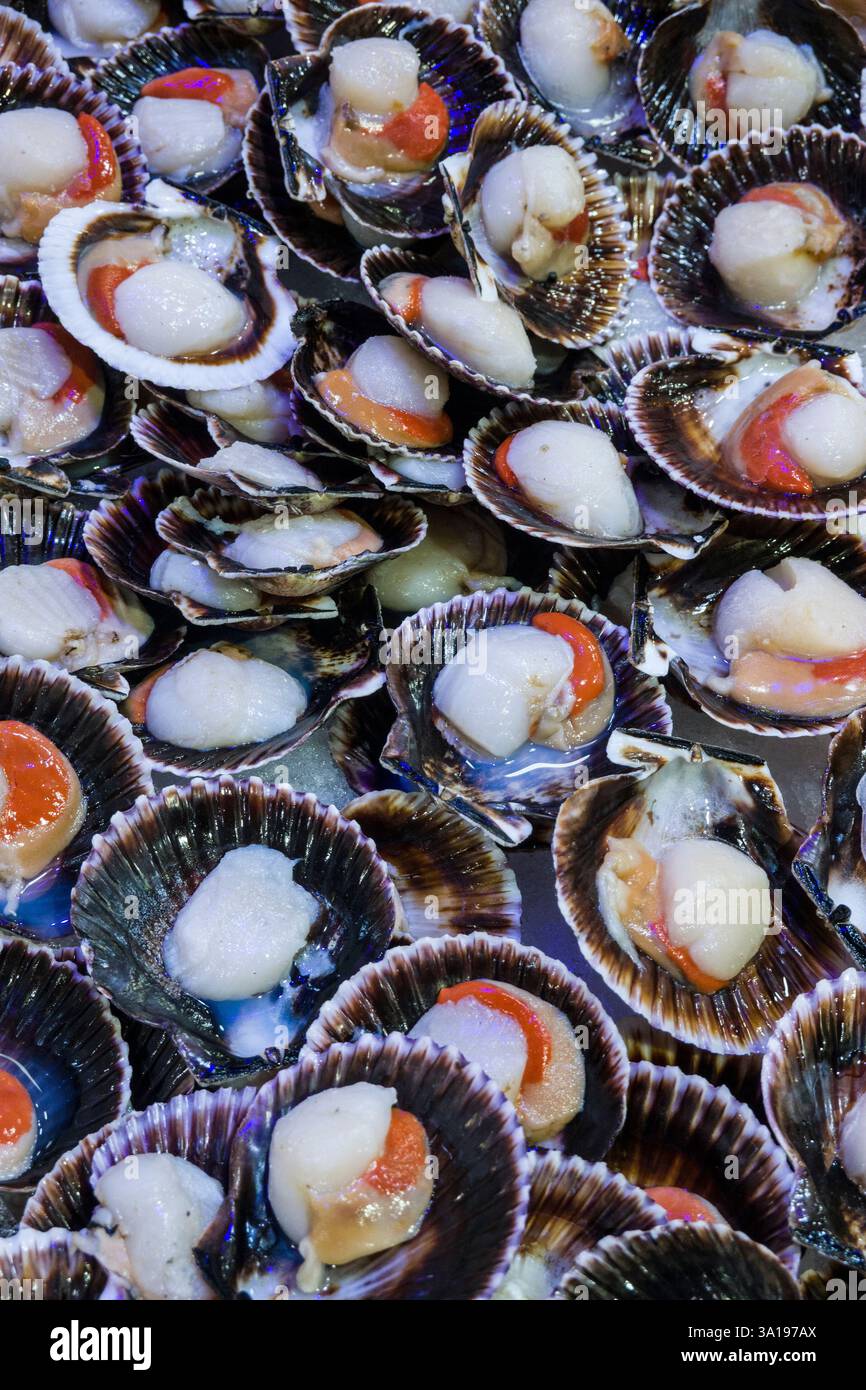 Colorful scallop (Mimachlamys varia) in the market Nuestra Senora de ...