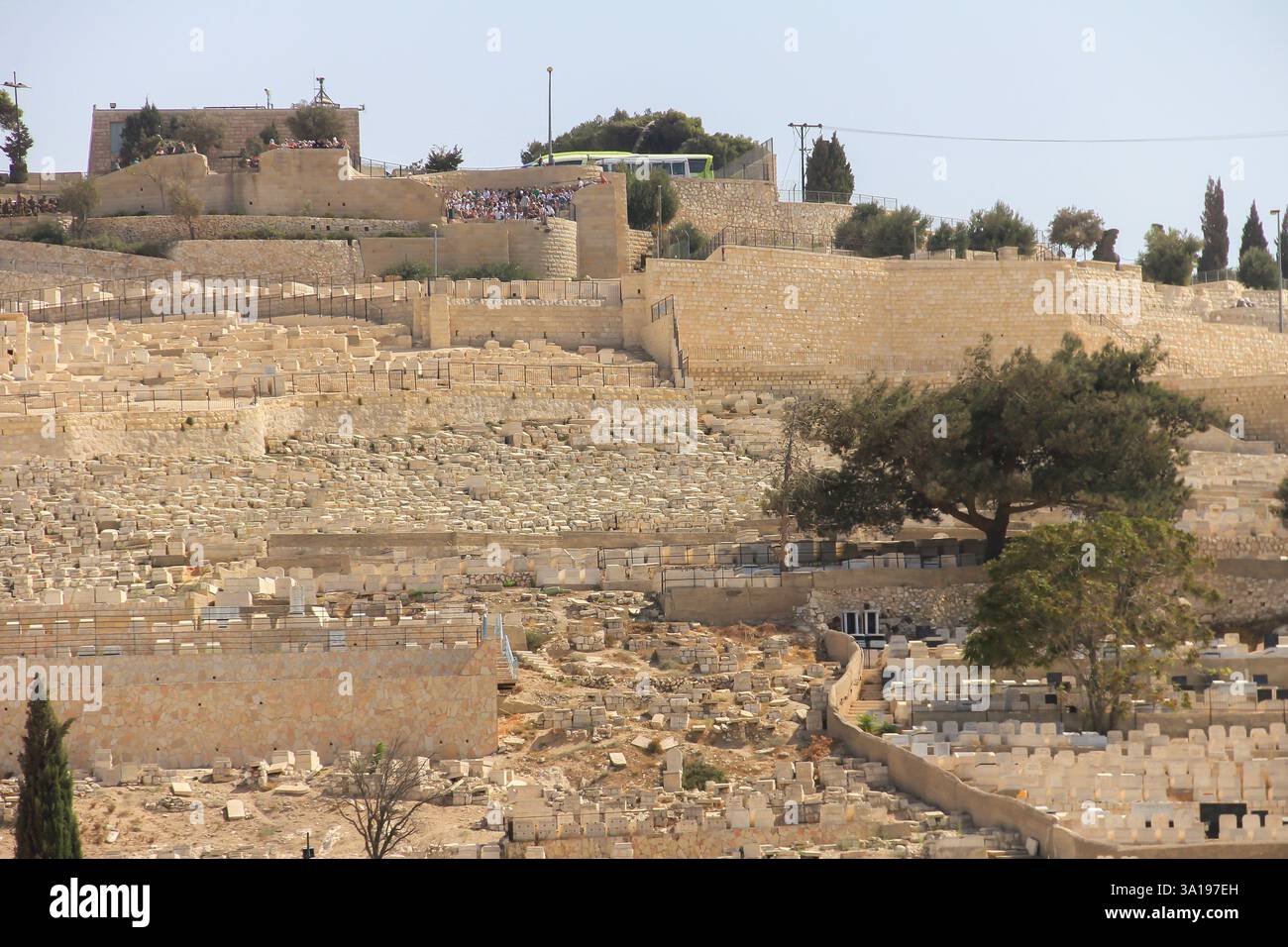 Landscape featuring vast historic cemetery with stone tombstones and ...