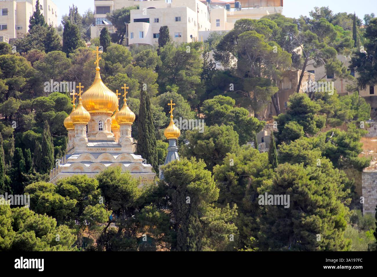 Golden domed church nestled amidst dense, rich greenery, creating a ...