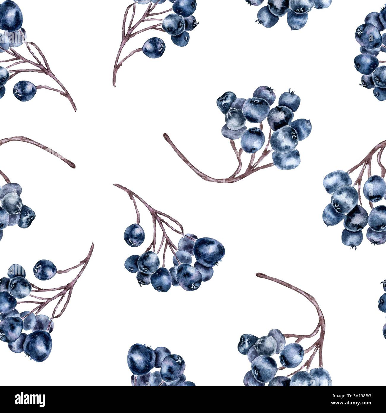 Dark berry seamless botanical pattern with watercolor aronia clusters ...