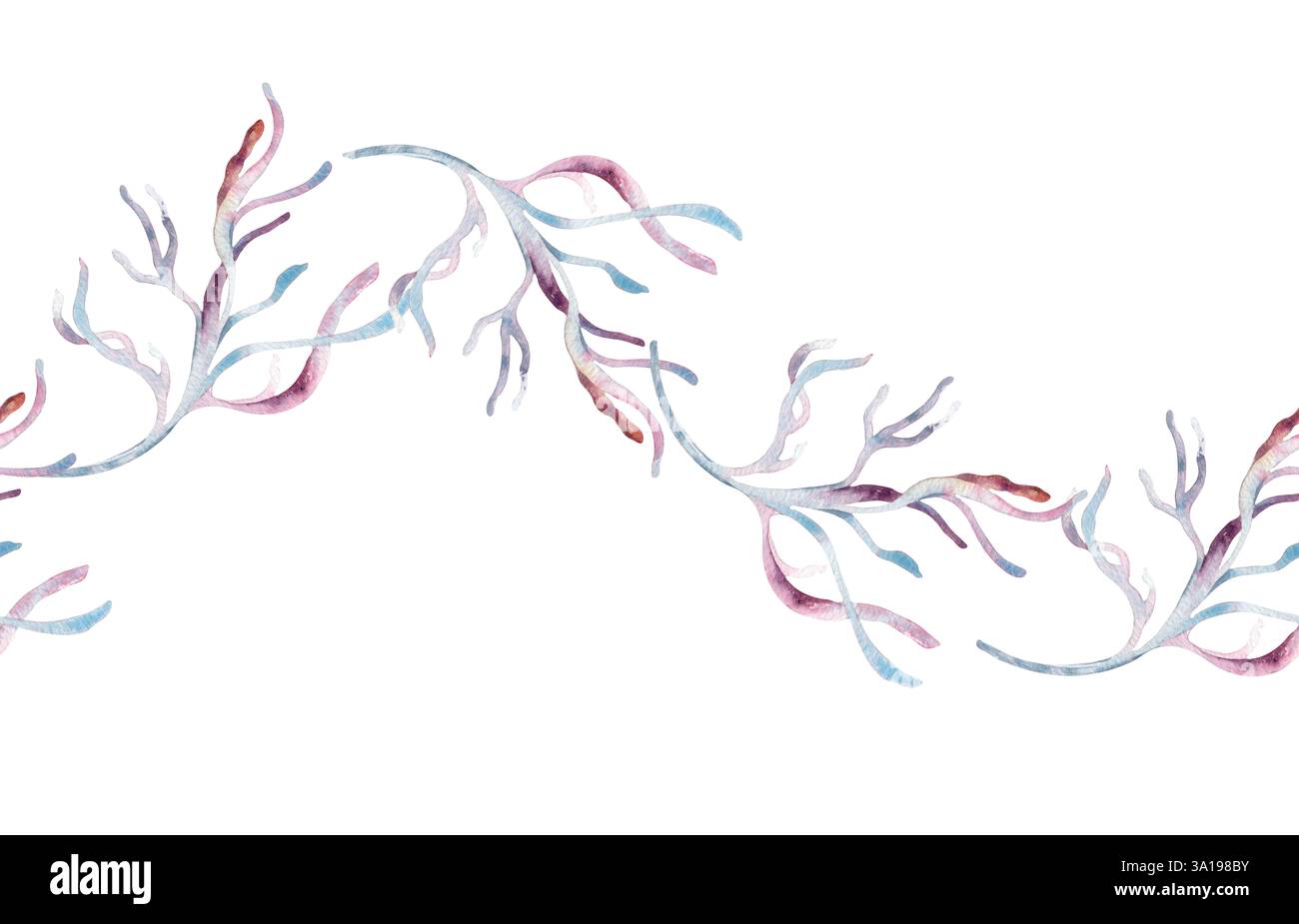 Pink wavy seaweed hand drawn seamless border isolated on white. Sea ...