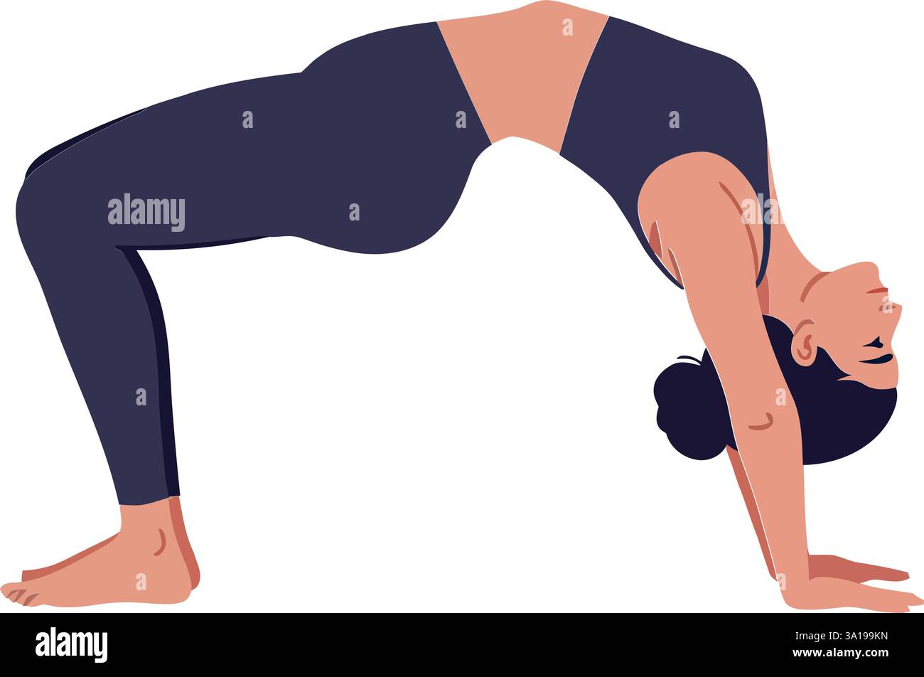 Transition from standing to bridge position in yoga Stock Vector Image ...