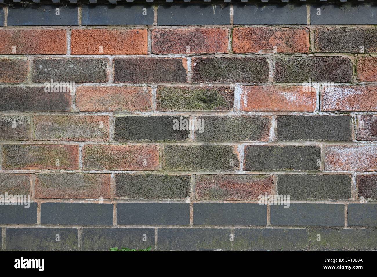 A brick wall with a black border. The wall is made of bricks and has a ...