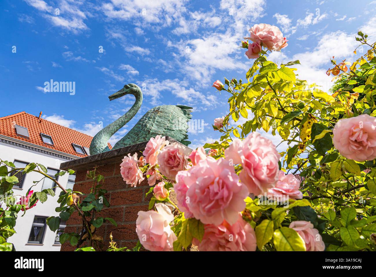 Roses and sculpture of a swan in the town of Schwaan Stock Photo - Alamy