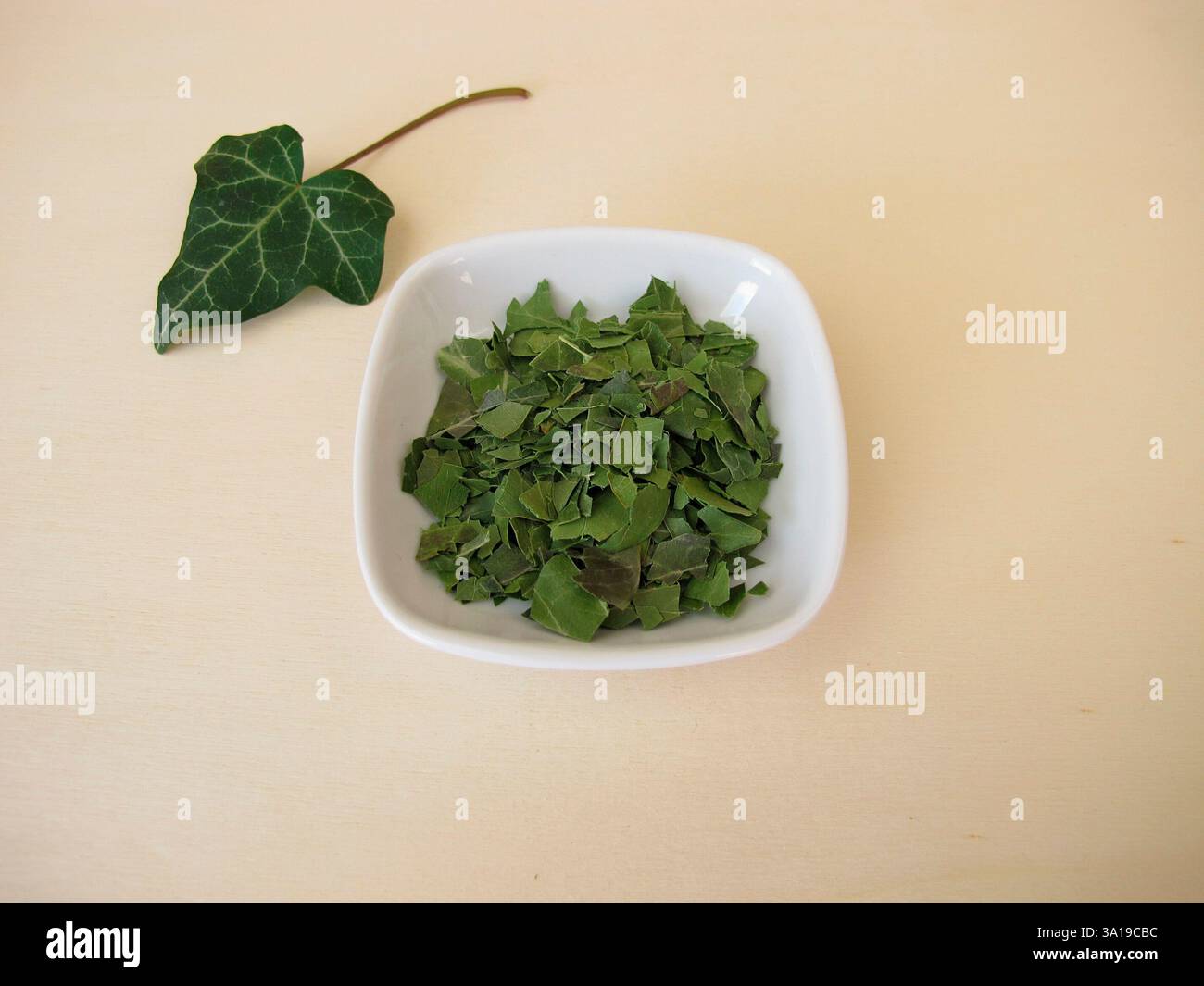 Dried and cut ivy leaves in a small porcelain bowl, Folia Hederae ...