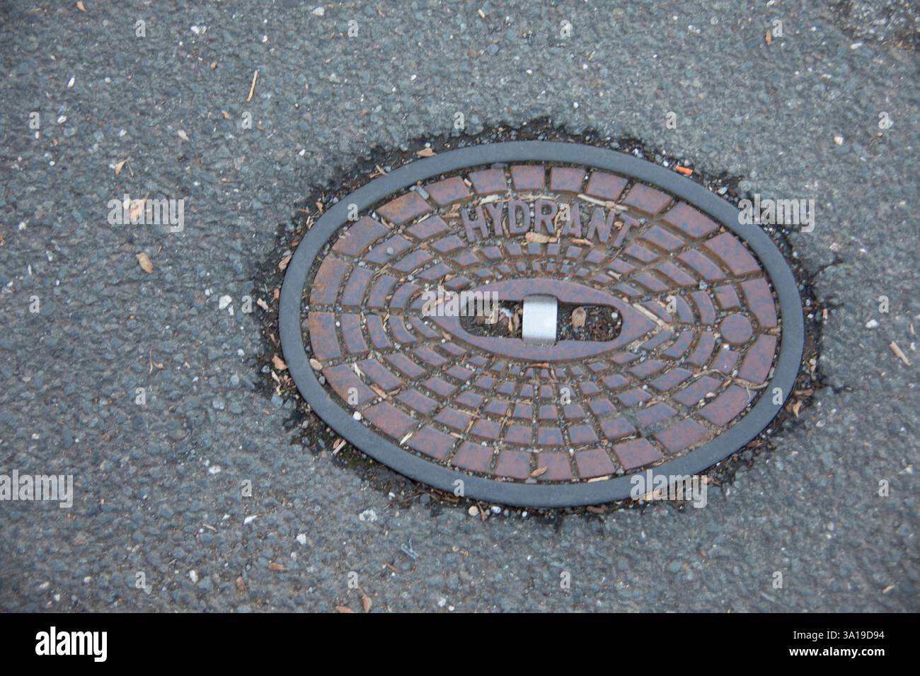 Manhole cover and hydrant embedded in the road surface Stock Photo - Alamy