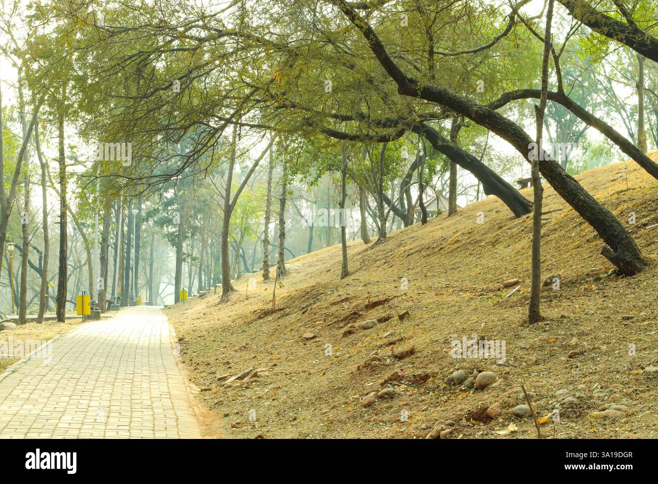 Mild season hi-res stock photography and images - Alamy