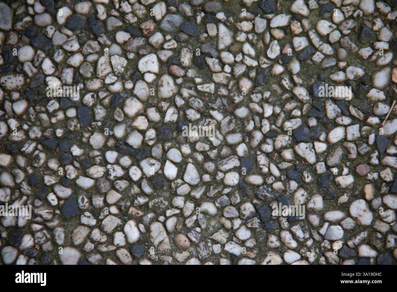 Floor covering texture hi-res stock photography and images - Alamy