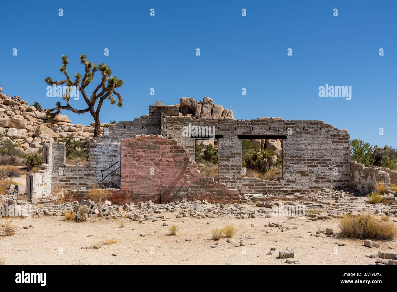 The ruin of the Wonderland ranch in Joshua Tree Nationalpark, USA Stock ...