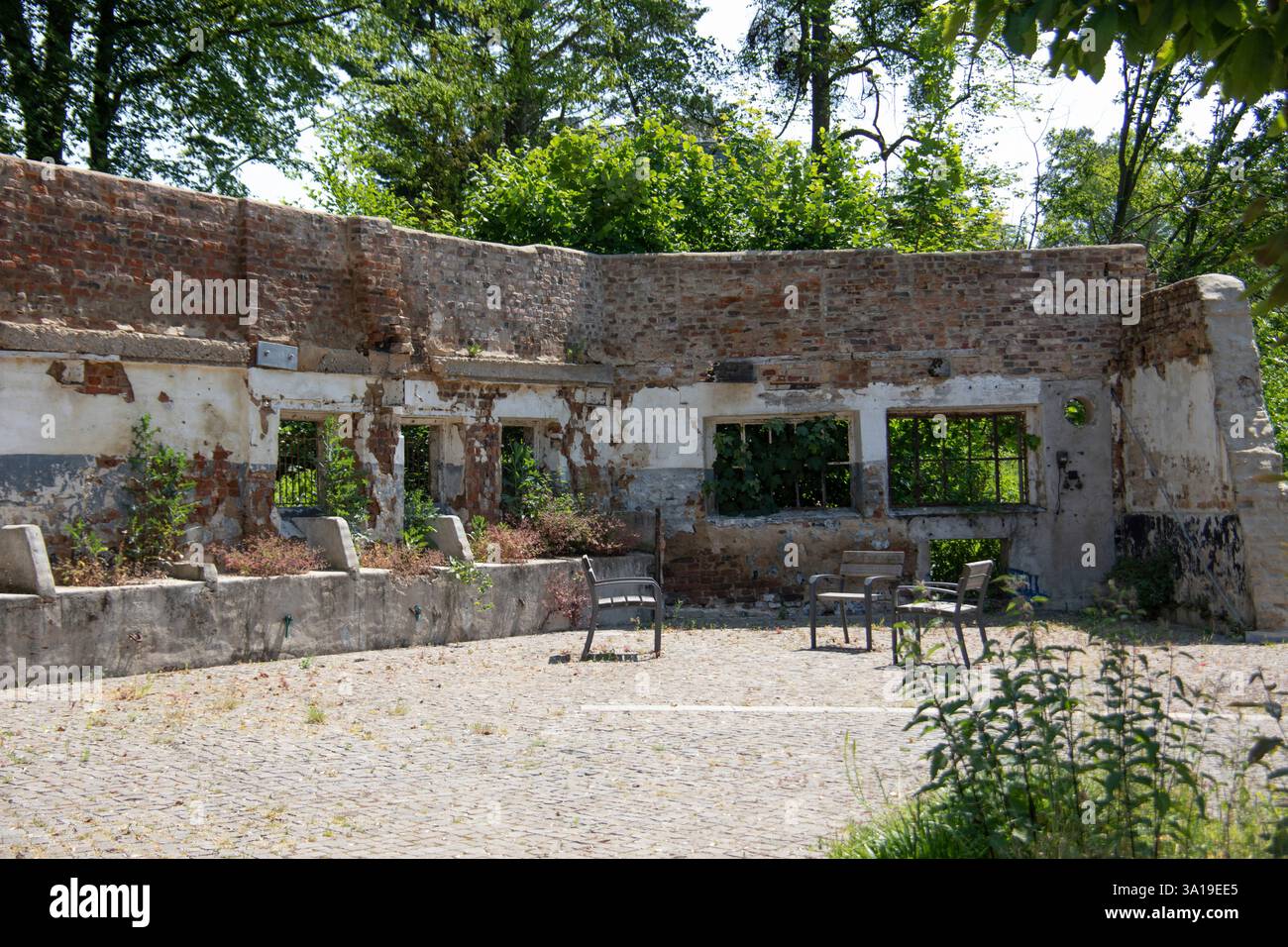 The lost forest hi-res stock photography and images - Alamy